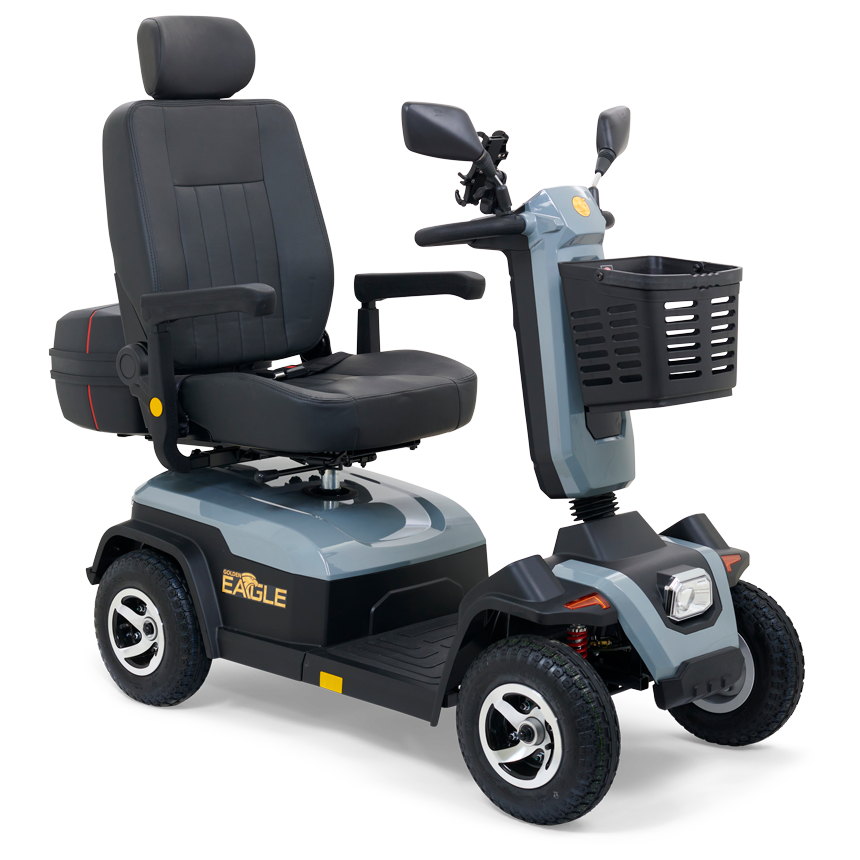 Golden Eagle Recreational Scooter | SpinLife
