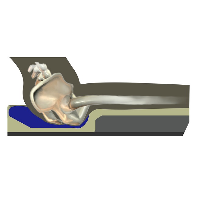 Sunrise/ JAY Jay Fusion Cushion | SpinLife