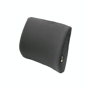 Comfort Company Molded Lumbar Support Pad General Use Backrest Reviews ...